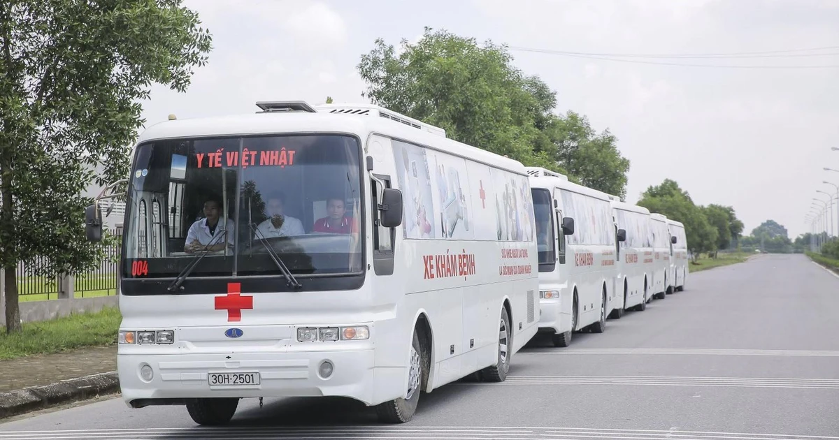 JVC: Cổ đông lớn An Khang Việt Nam của ai?